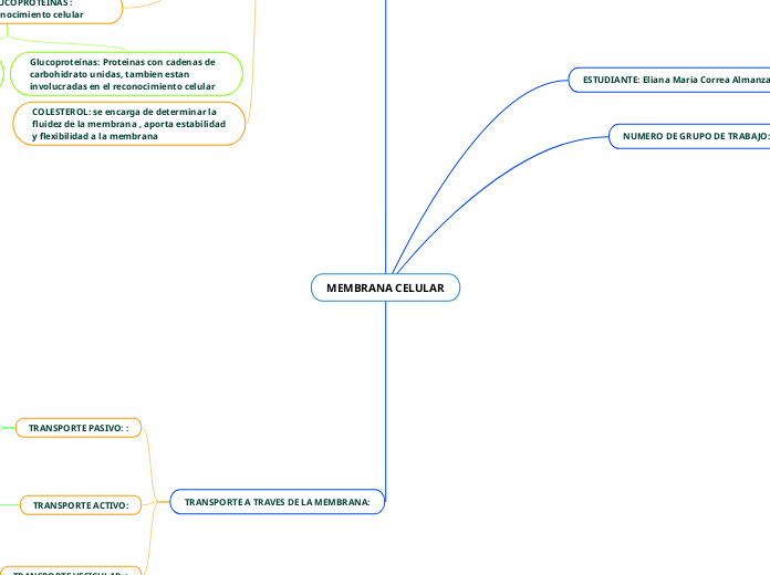 MEMBRANA CELULAR - Mind Map
